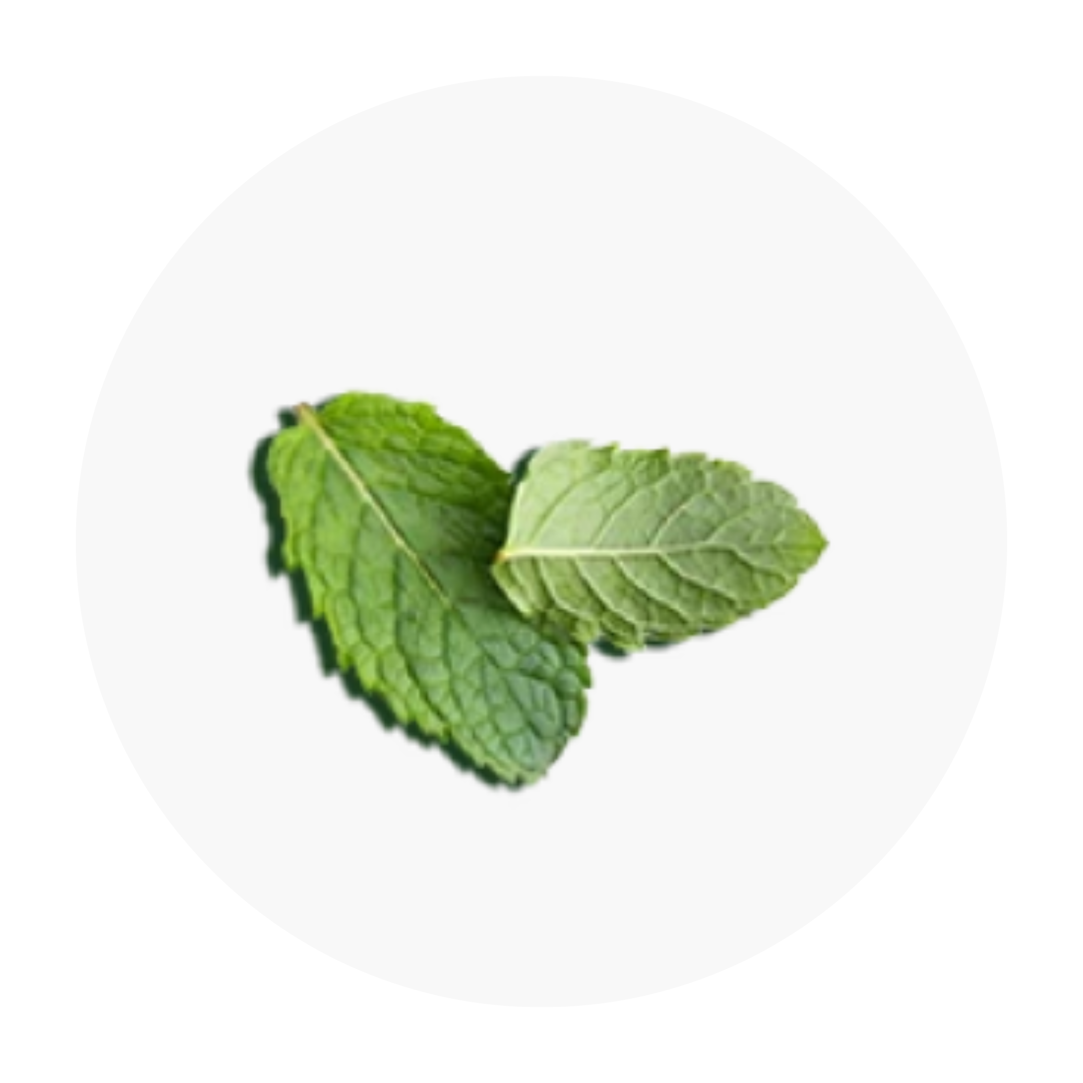 Mint Toothpaste Tablets | Clean + Sustainable Oral Care – The Good Company