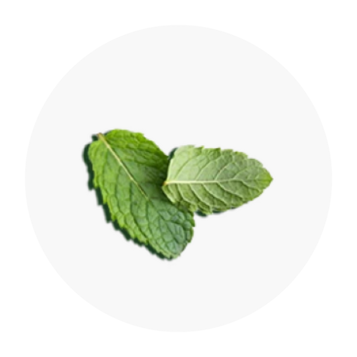 Mint Toothpaste Tablets | Clean + Sustainable Oral Care – The Good Company